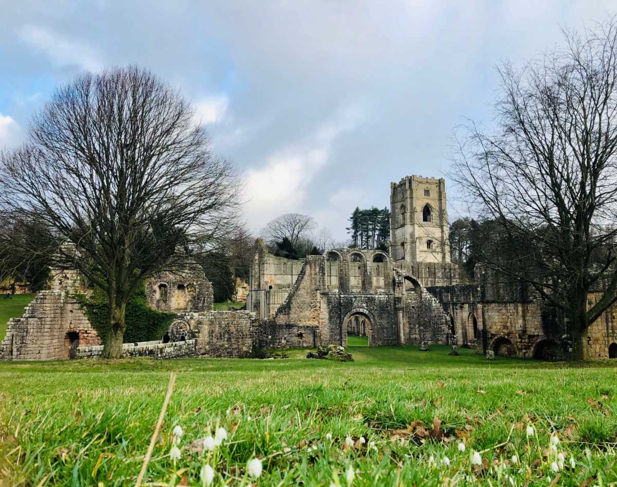 Gallery - View A Selection Of Images | Warren Forest