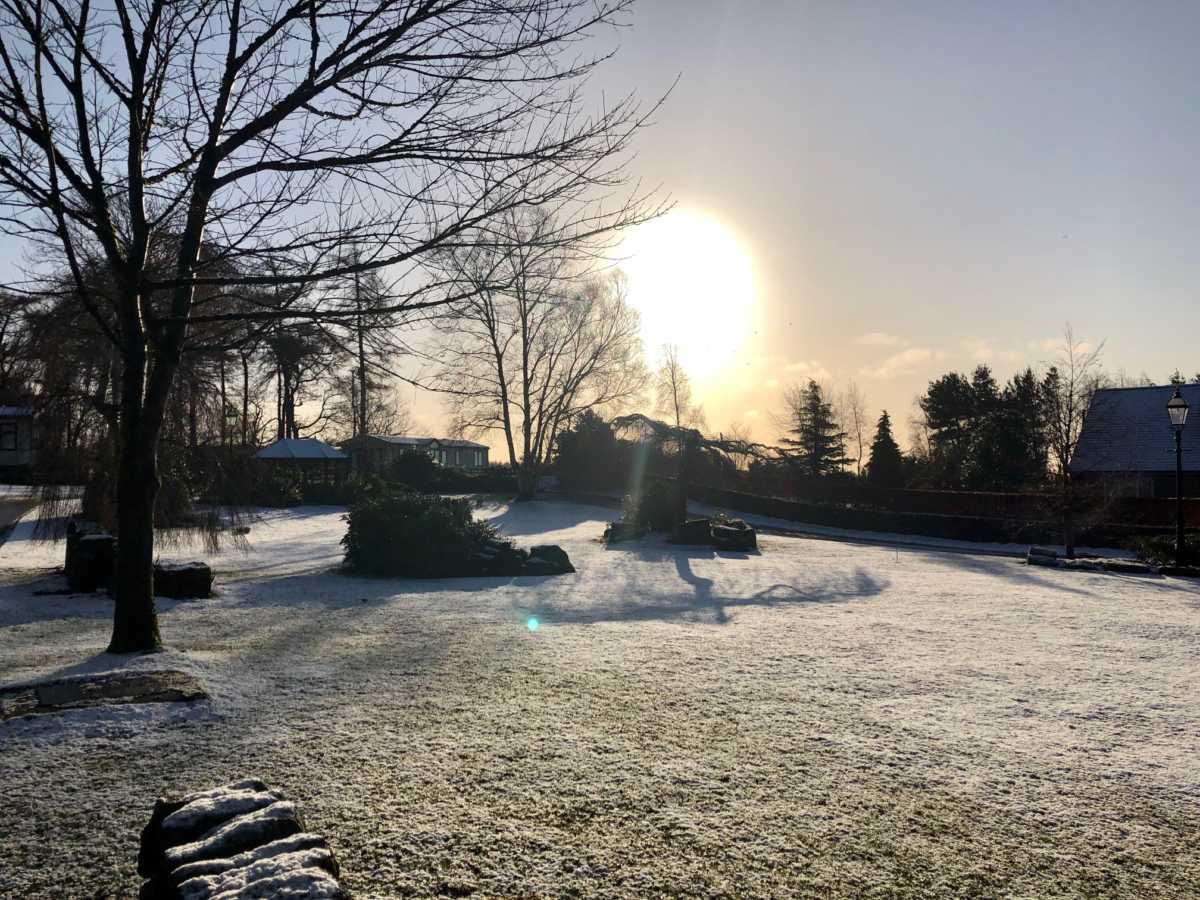 Opening Day - Warren Forest Park