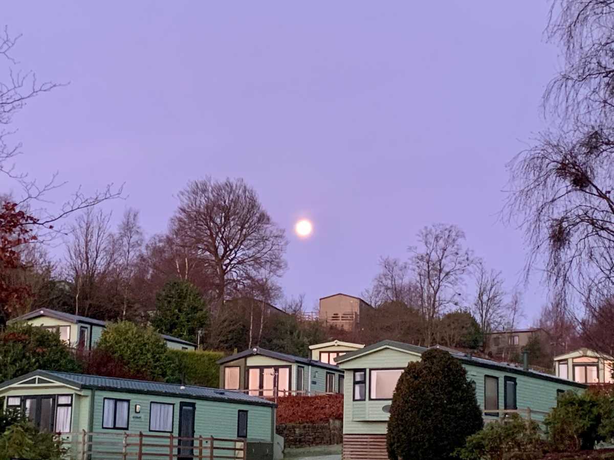 Countdown to the Park's Reopening - April 12, 2021