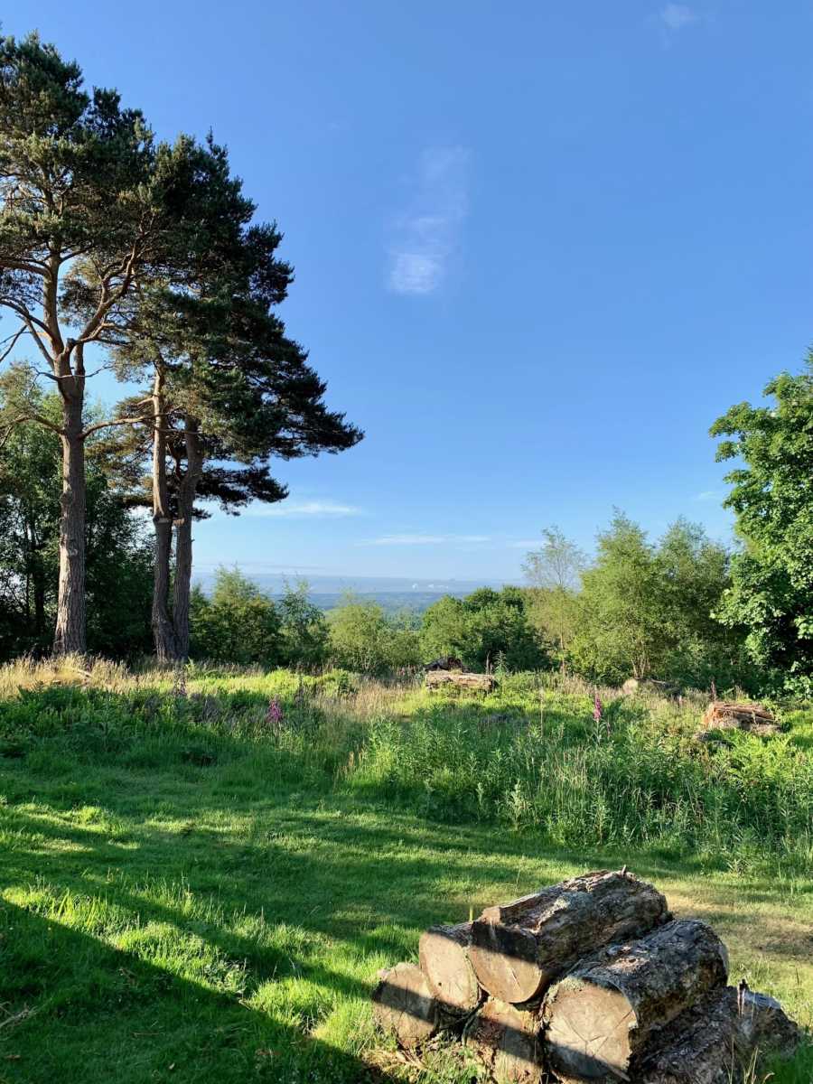 Gallery - View A Selection Of Images | Warren Forest
