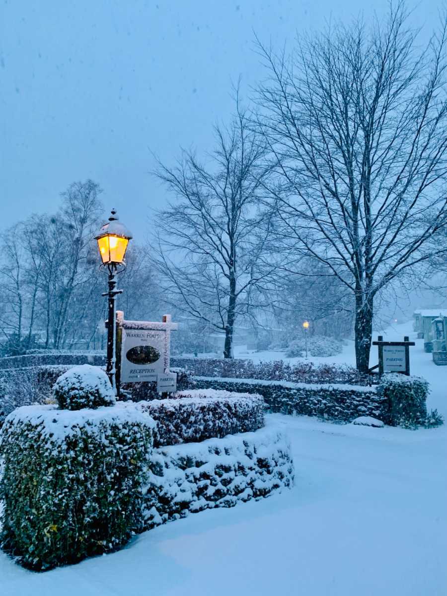 Springtime Snowfall - Warren Forest Park