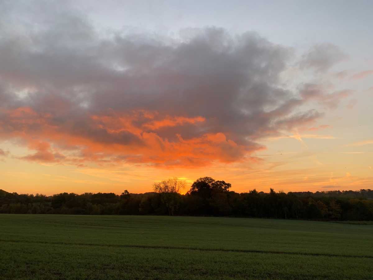 November News - Warren Forest Park