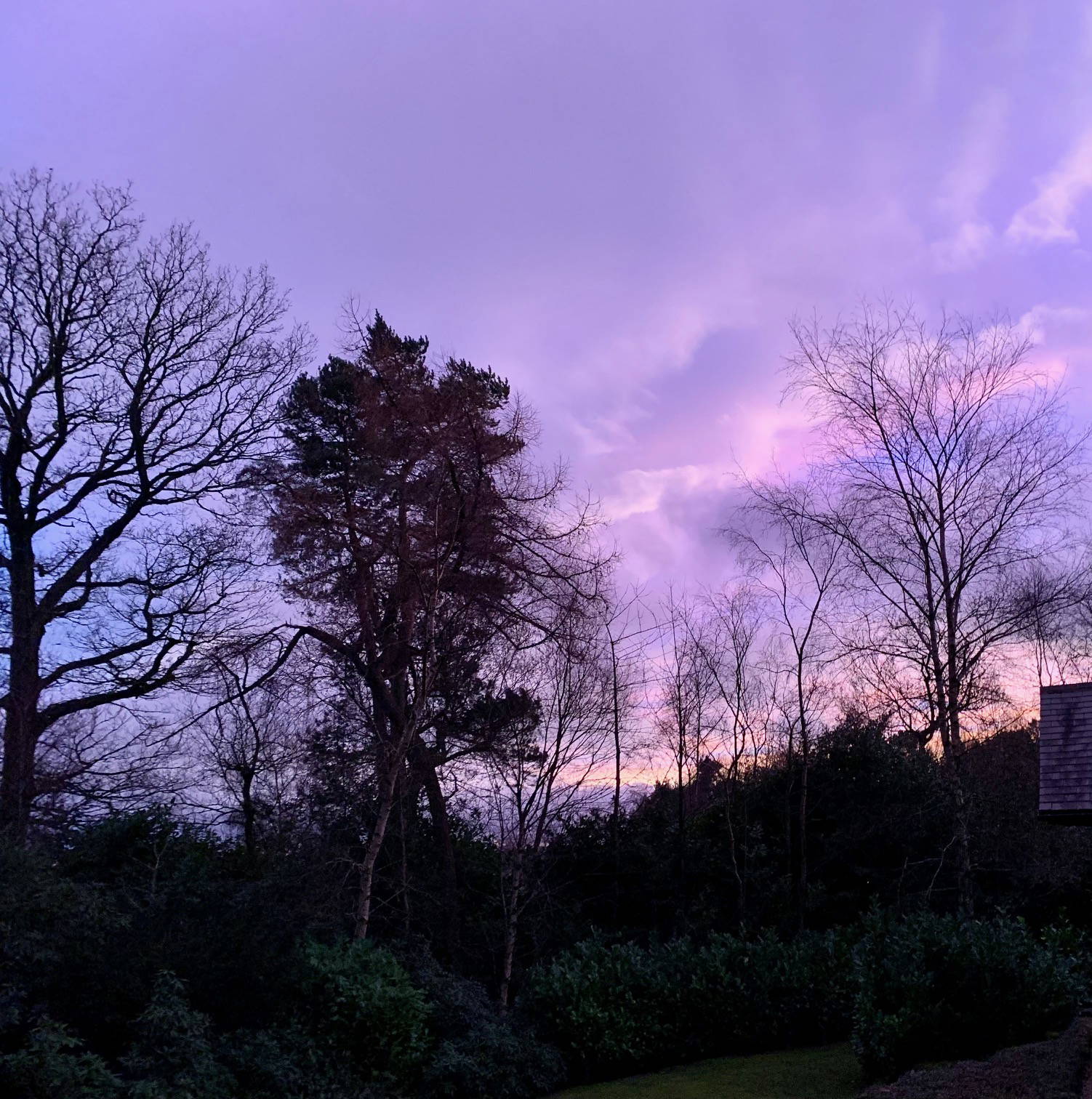 February Skies | Warren Forest Park
