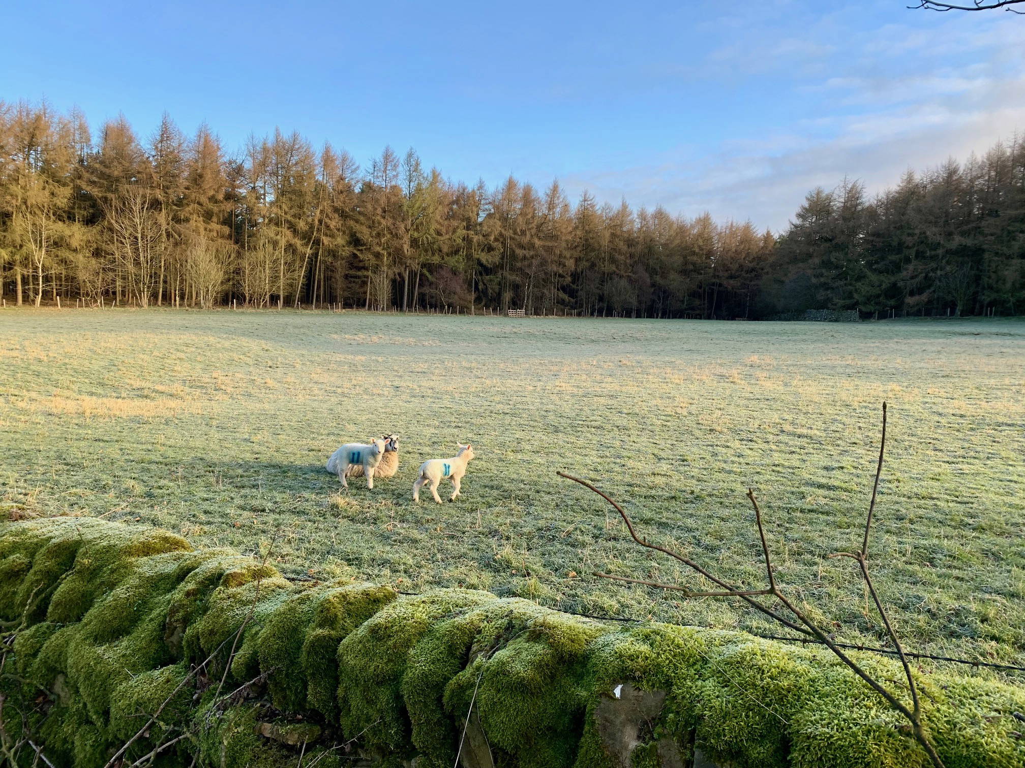April Sunshine & Showers | Warren Forest Park