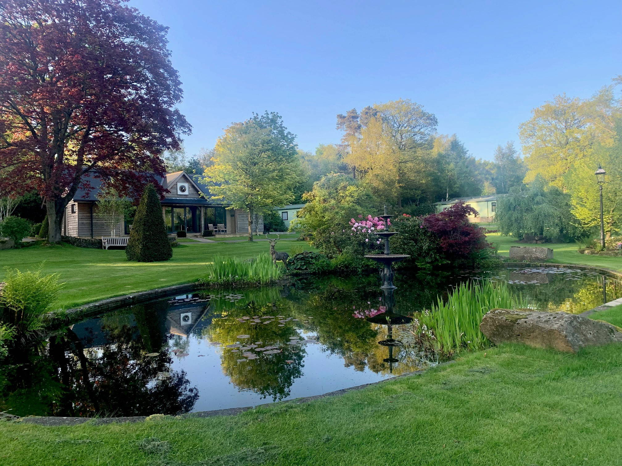 Beautiful May Blooms | Warren Forest Park