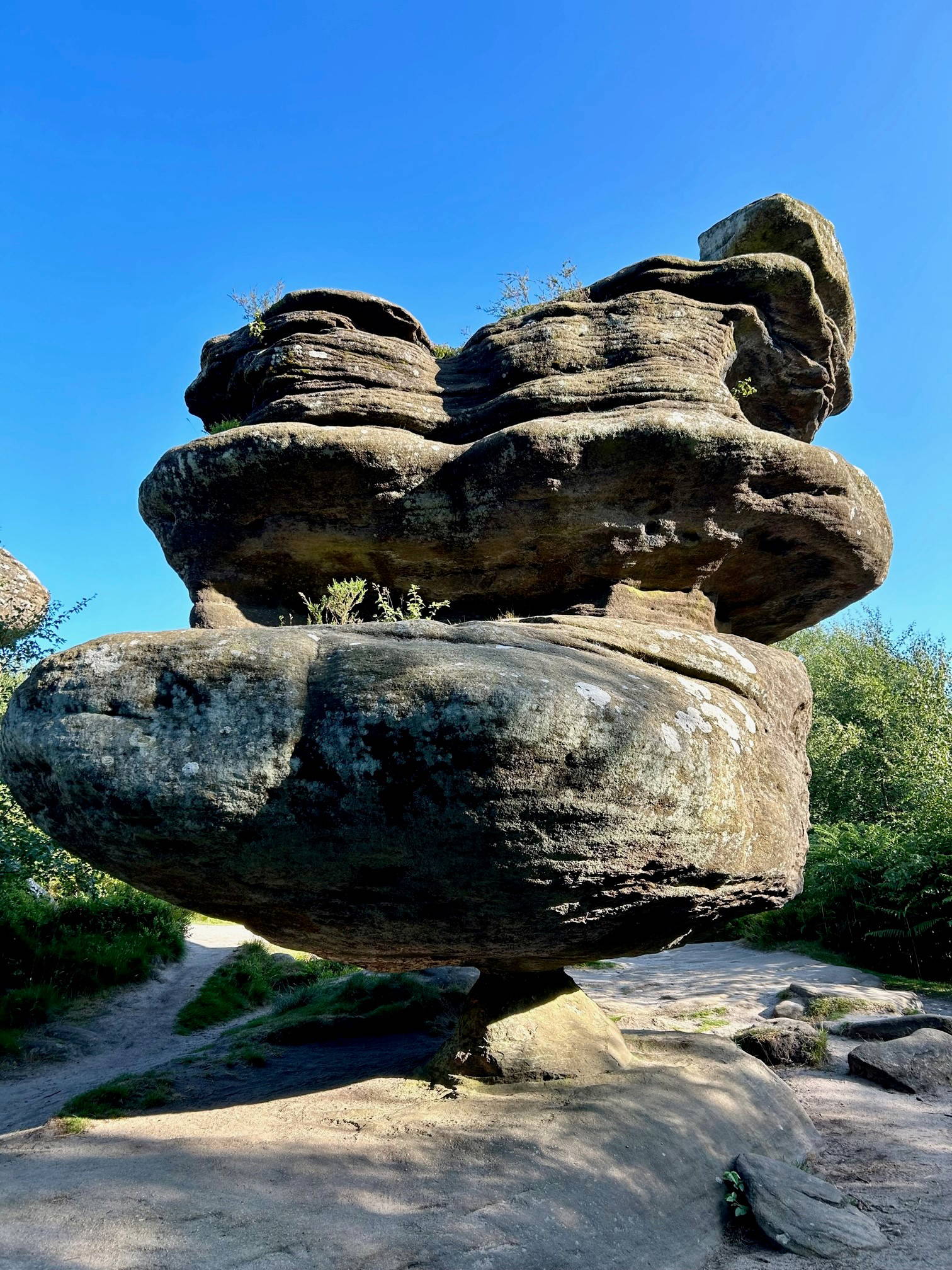 Midsummer Moments | Warren Forest Park