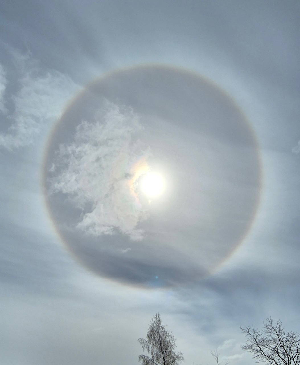 Solar Halo View | Warren Forest Park